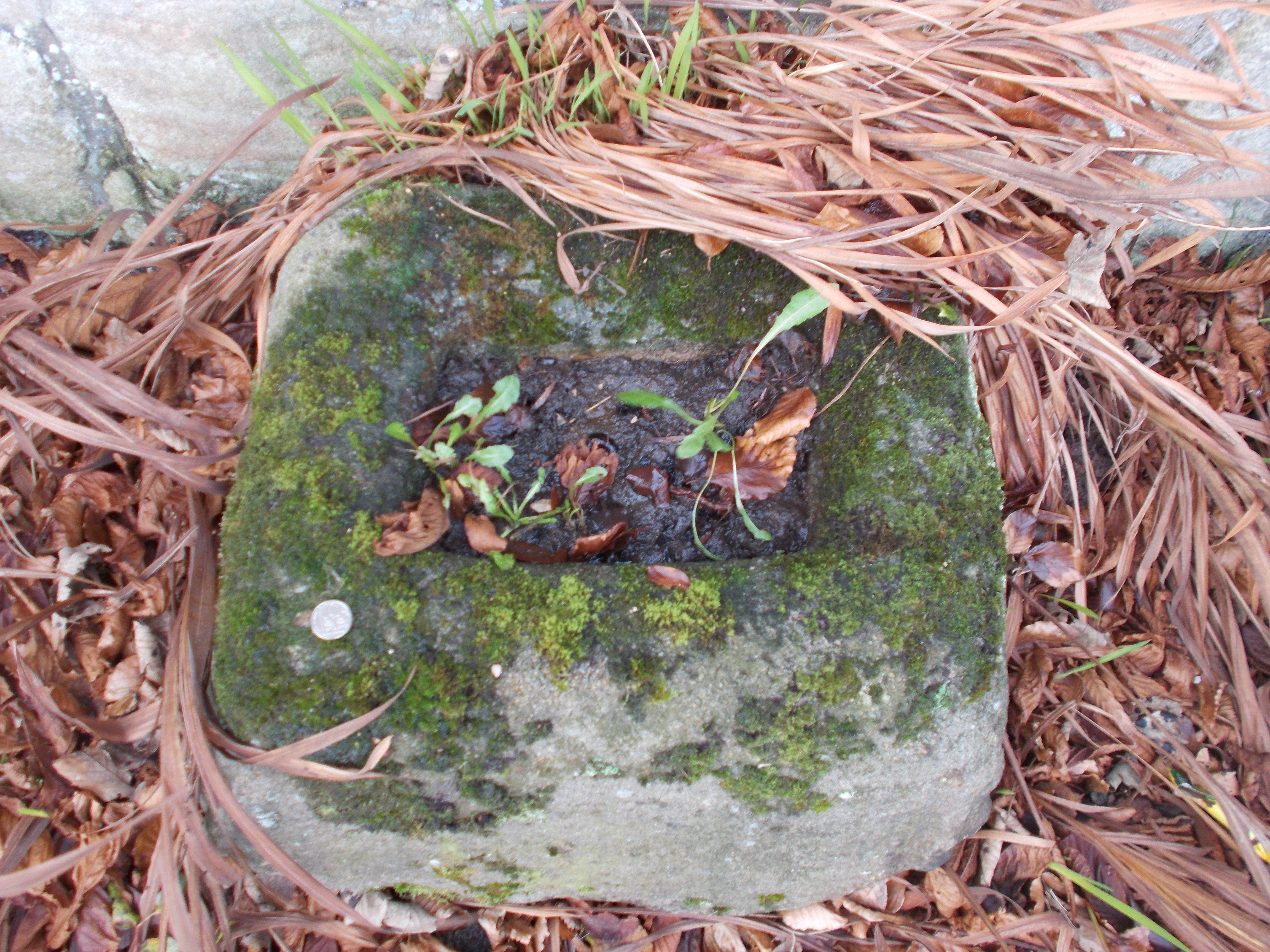 Brindle Churchyard, Brindle village, near Chorley – Lancashire Past