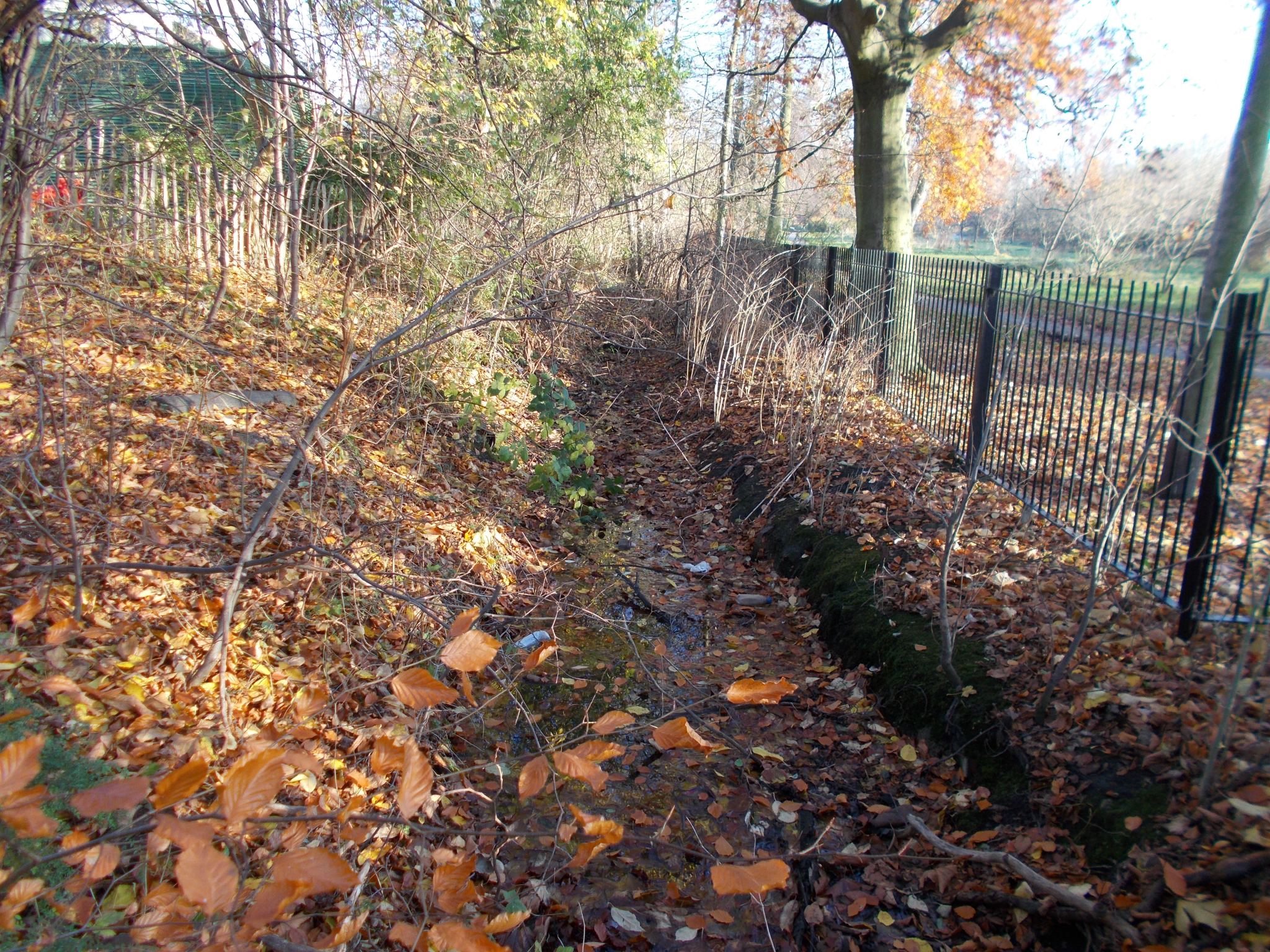 Nico Ditch, Platt Fields Park, Manchester – Lancashire Past
