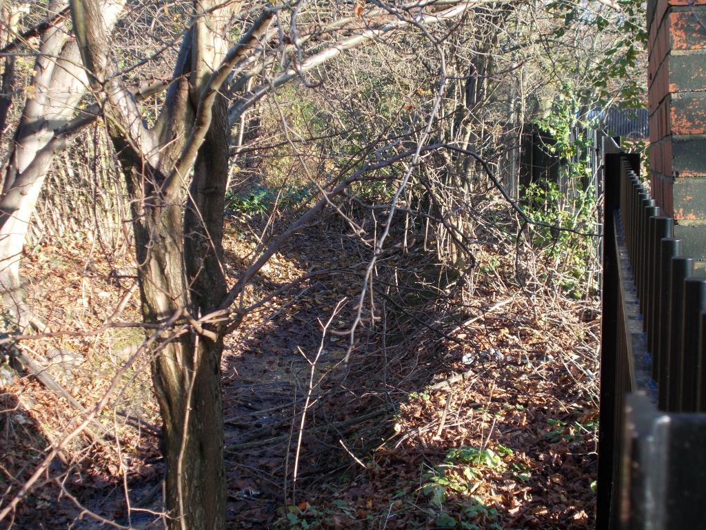 Nico Ditch, Platt Fields Park, Manchester – Lancashire Past