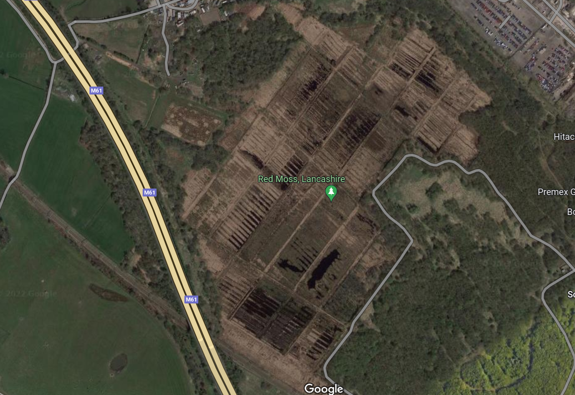 Red Moss Bog Burial, Horwich – Lancashire Past