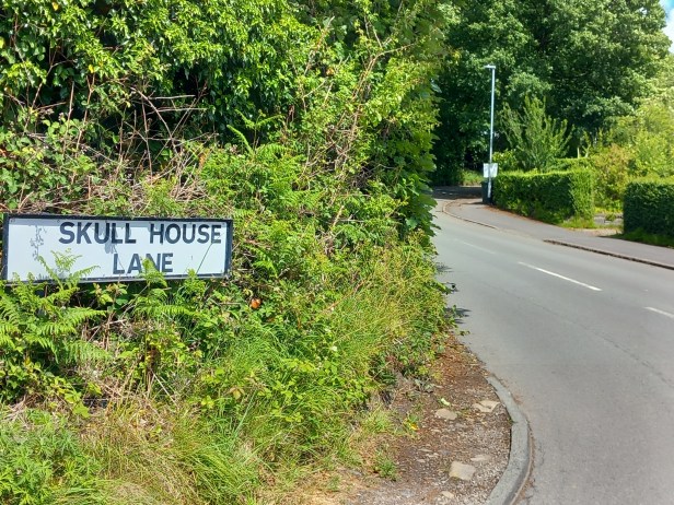 The Enigmatic Skull of Skull House, Appley Bridge, near Wigan ...