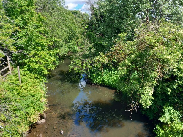 The Enigmatic Skull of Skull House, Appley Bridge, near Wigan ...